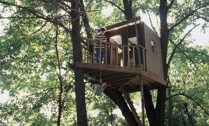 How to Build the Best Treehouse - Daily Household